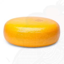 Ung Gouda ost | Helost 4,5 kilo | köp på nätet | GoudaOstShop.se